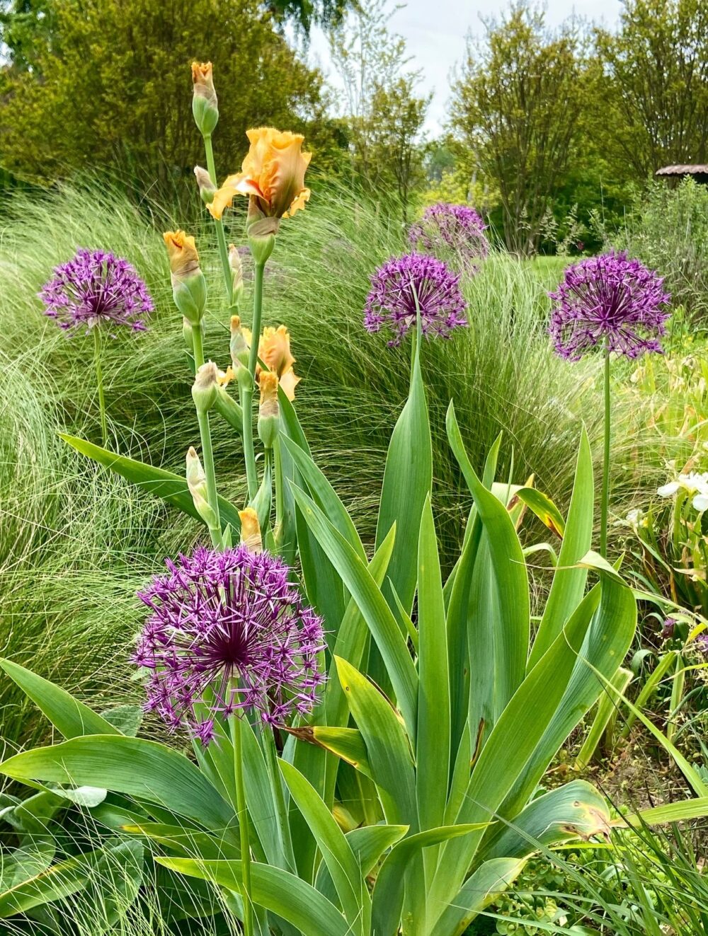 Cylburn Arboretum Friends - Cylburn Arboretum AssociationCylburn ...