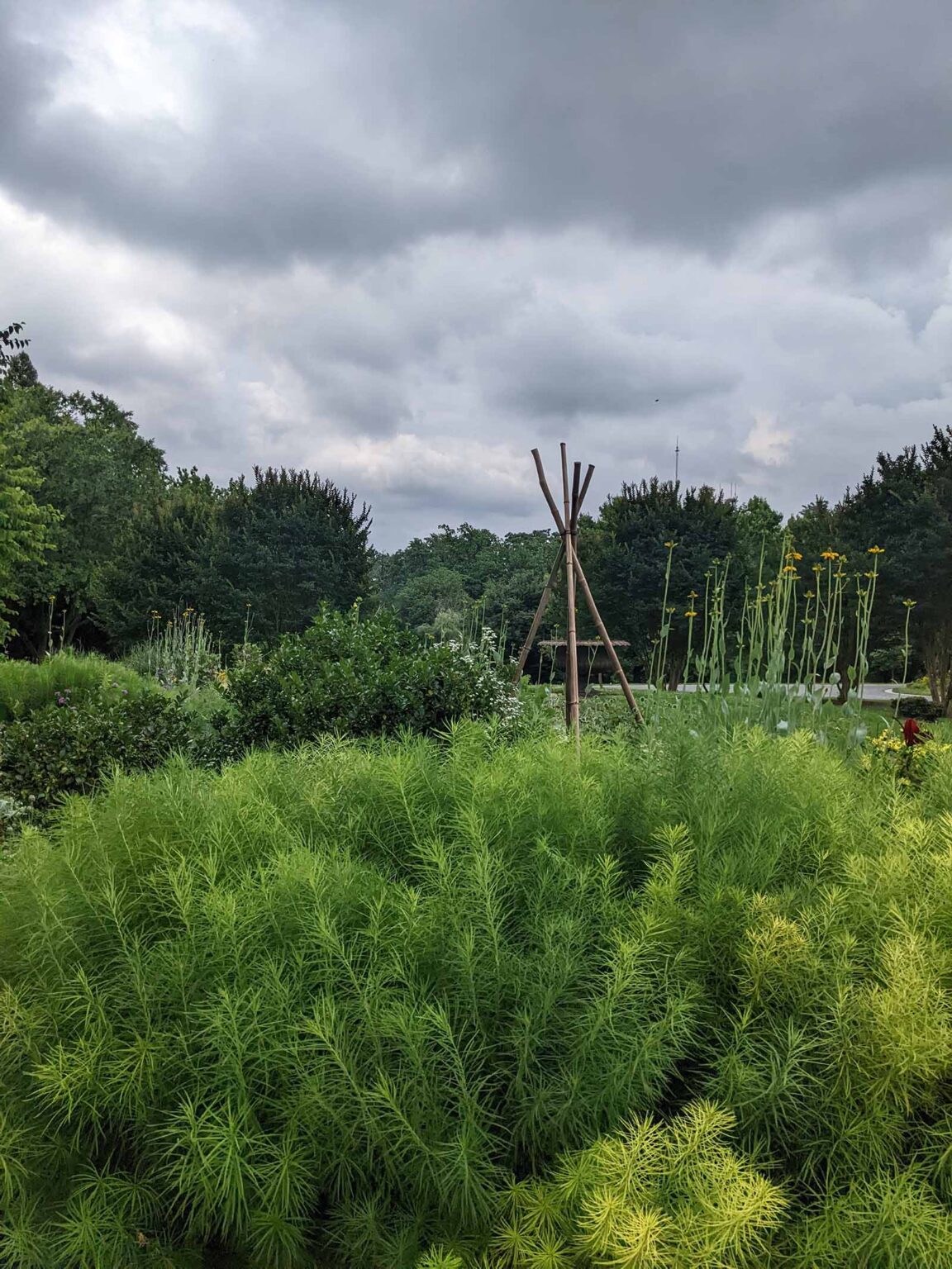 Home Page - Cylburn Arboretum Friends