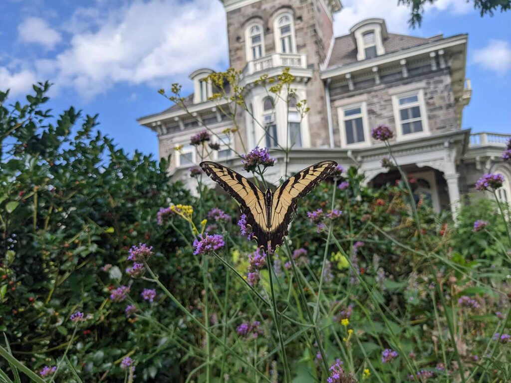 Home Page - Cylburn Arboretum Friends