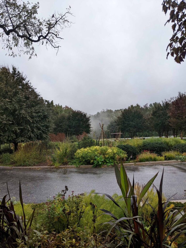 Home Page - Cylburn Arboretum Friends