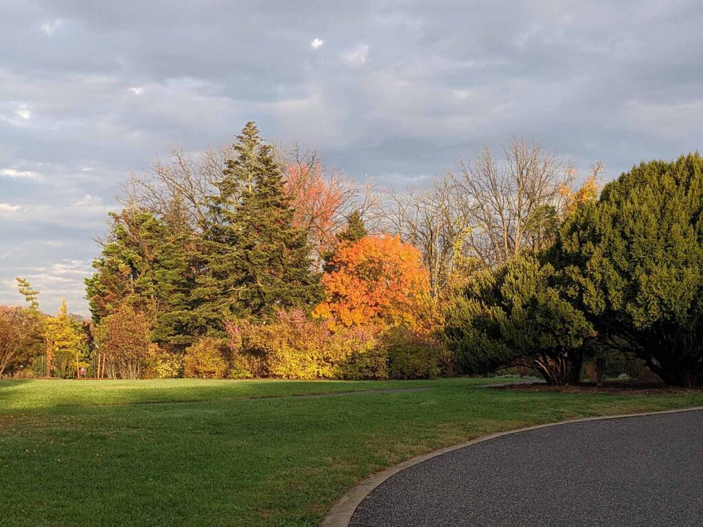 Cylburn Through the Seasons - Cylburn Arboretum Friends