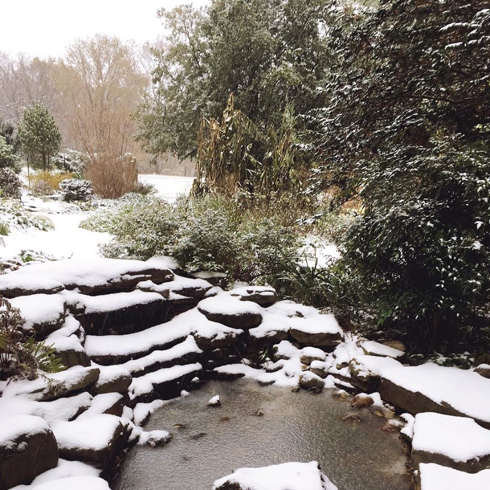 The Gardens - Cylburn Arboretum Friends